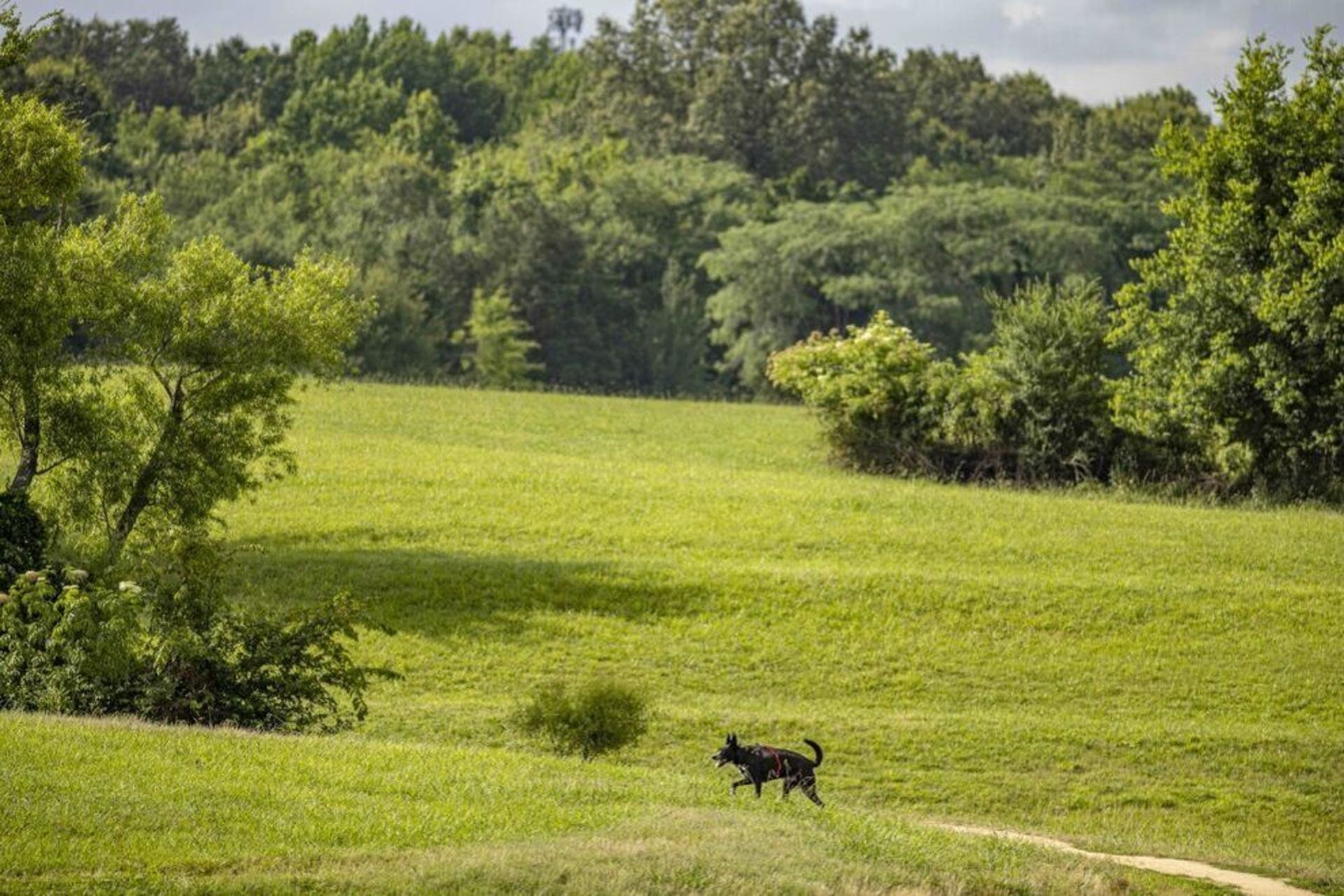 10 best dog parks in the United States