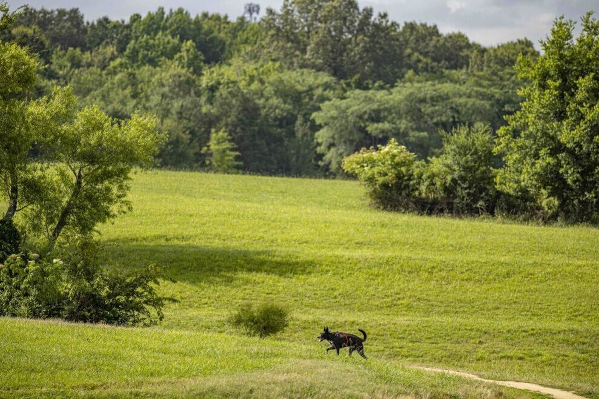 10 best dog parks in the United States