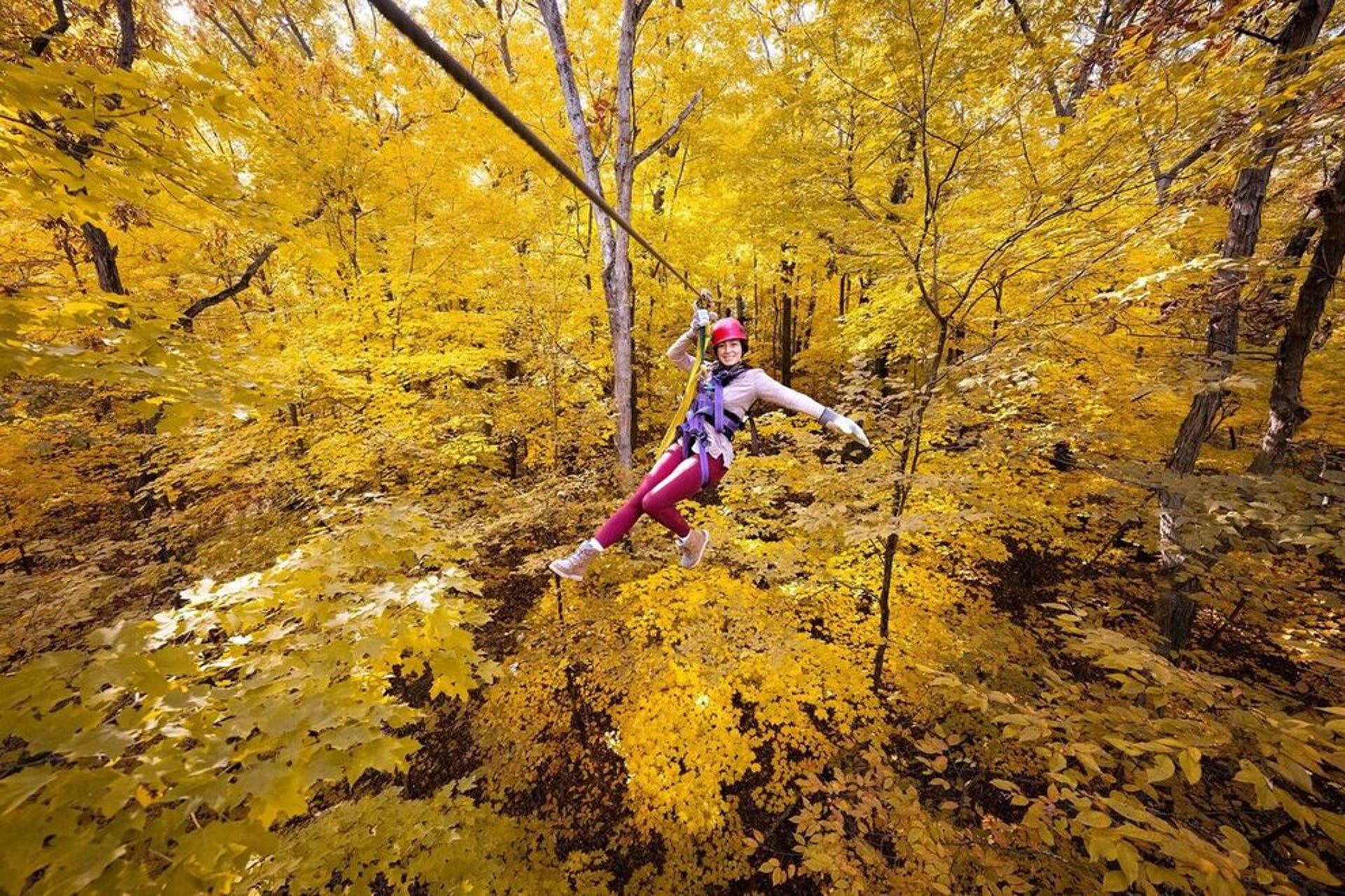 What is the Best Aerial Adventure Park for 2025?