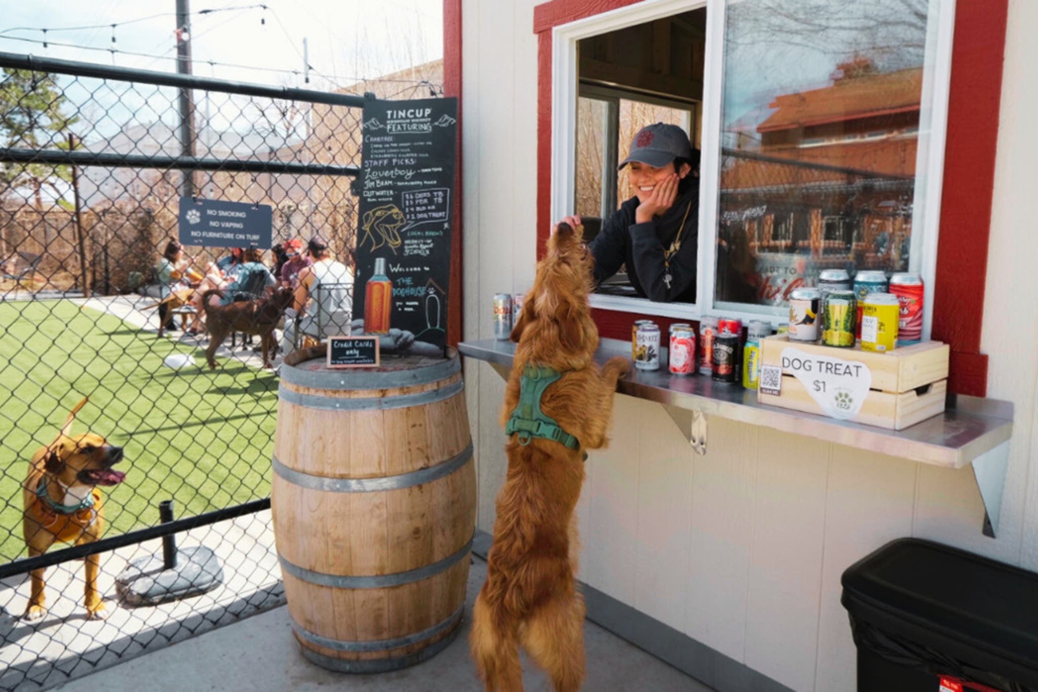 Pub Dog Colorado: 2025 USA TODAY 10BEST Readers' Choice Awards