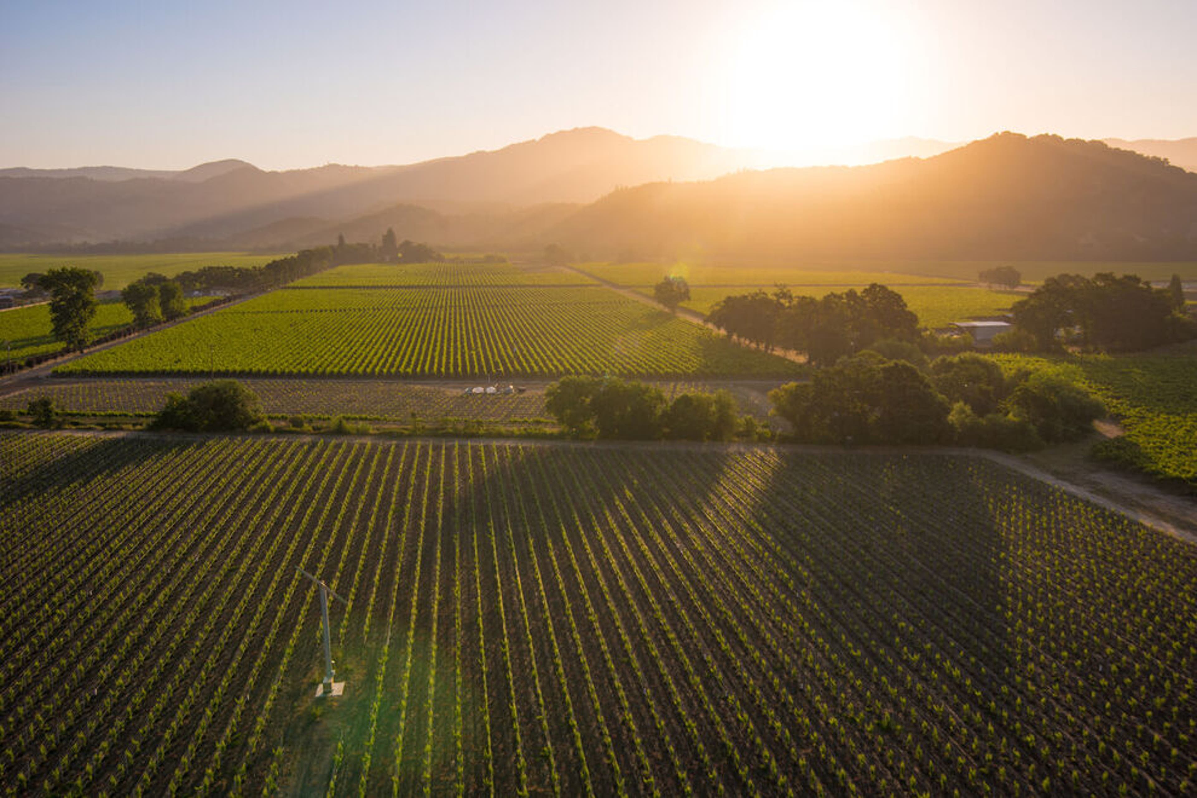 Napa Valley, California