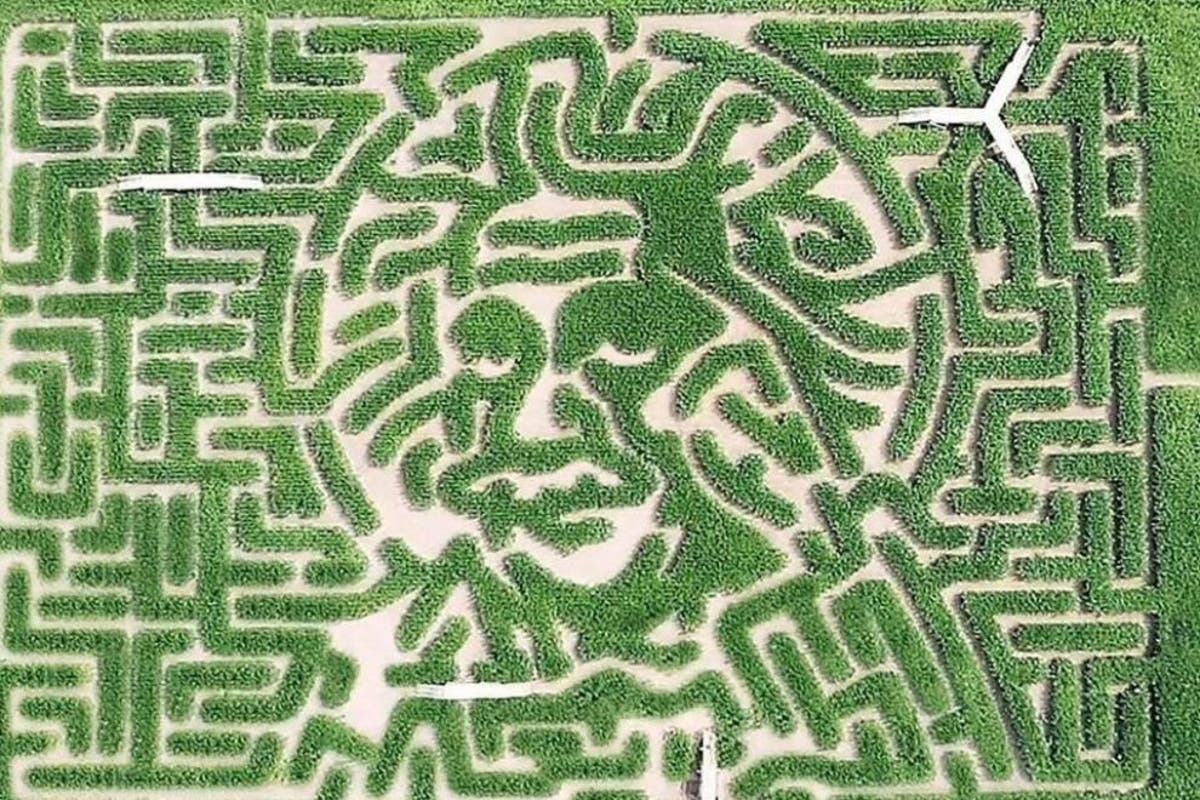 10 best corn mazes in the US you won't want to miss this fall