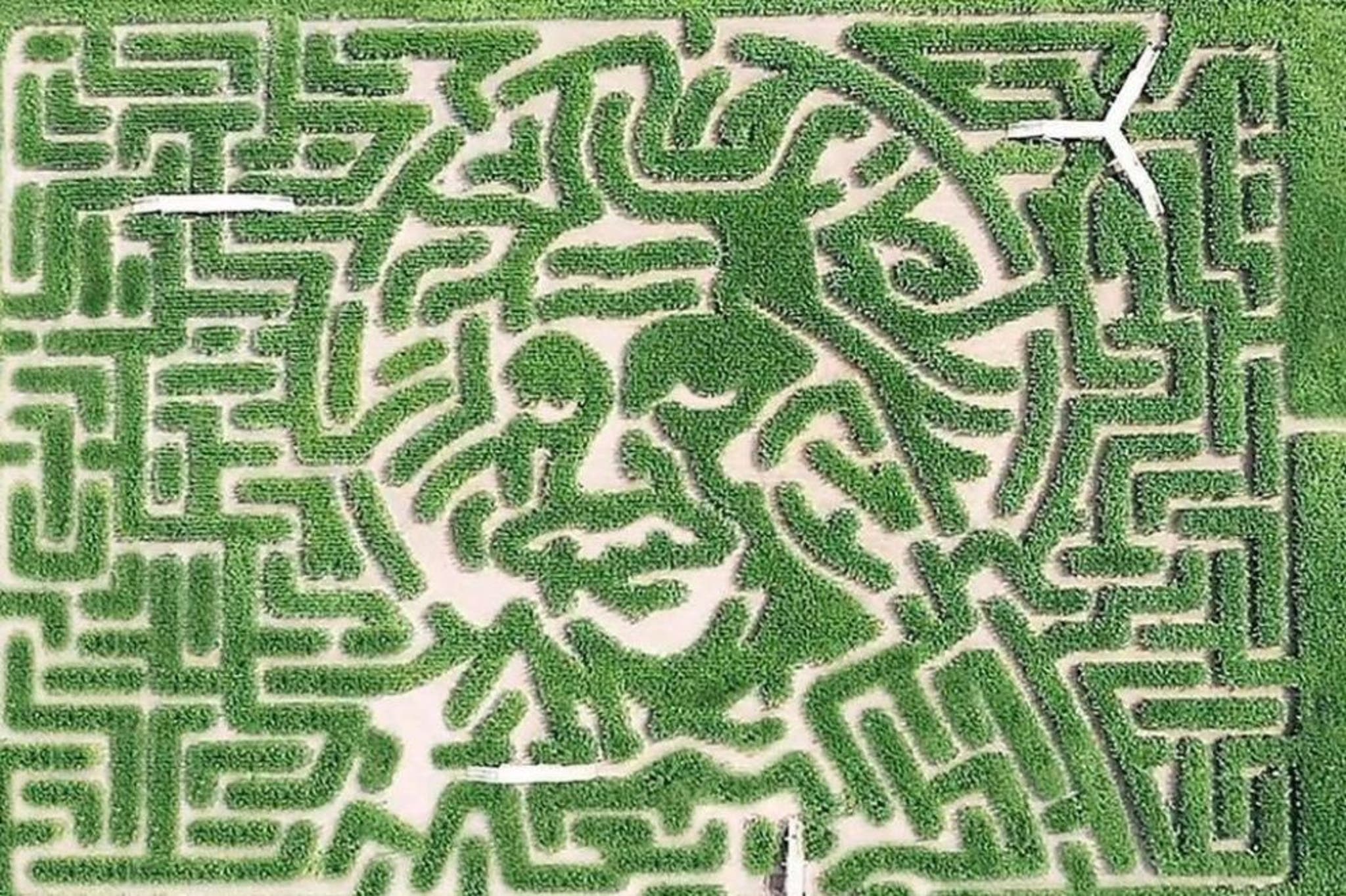10 best corn mazes in the US you won't want to miss this fall