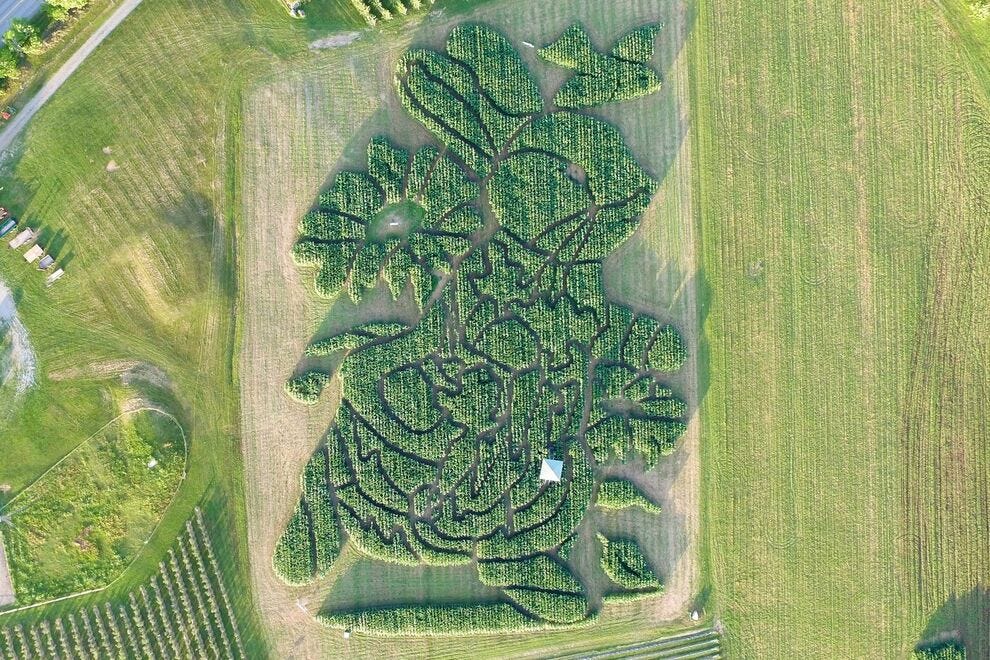 10 best corn mazes in the US you won't want to miss this fall