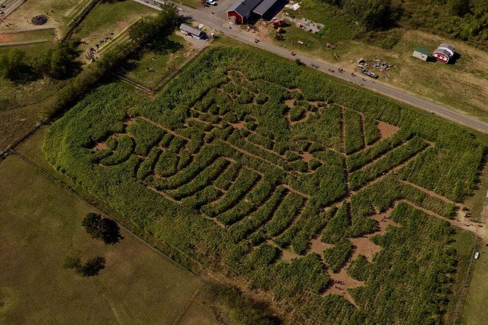 Orr Family Farm: 2025 USA TODAY 10BEST Readers' Choice Awards