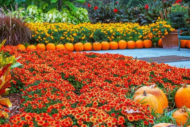10 best botanical gardens and arboretums that burst with fall color ...