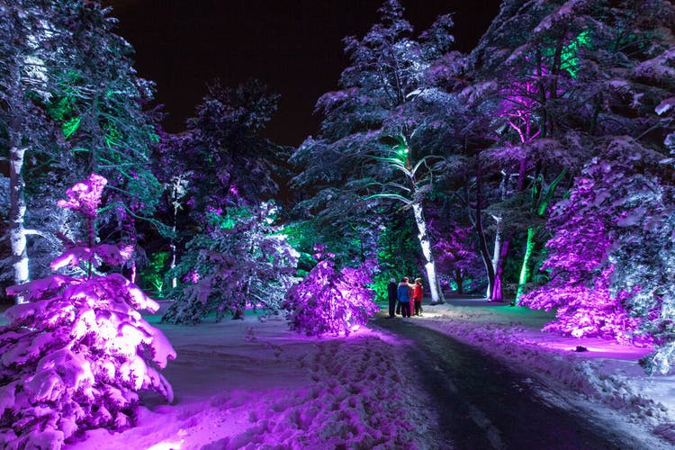 10 best botanical gardens with holiday lights to visit in 2024