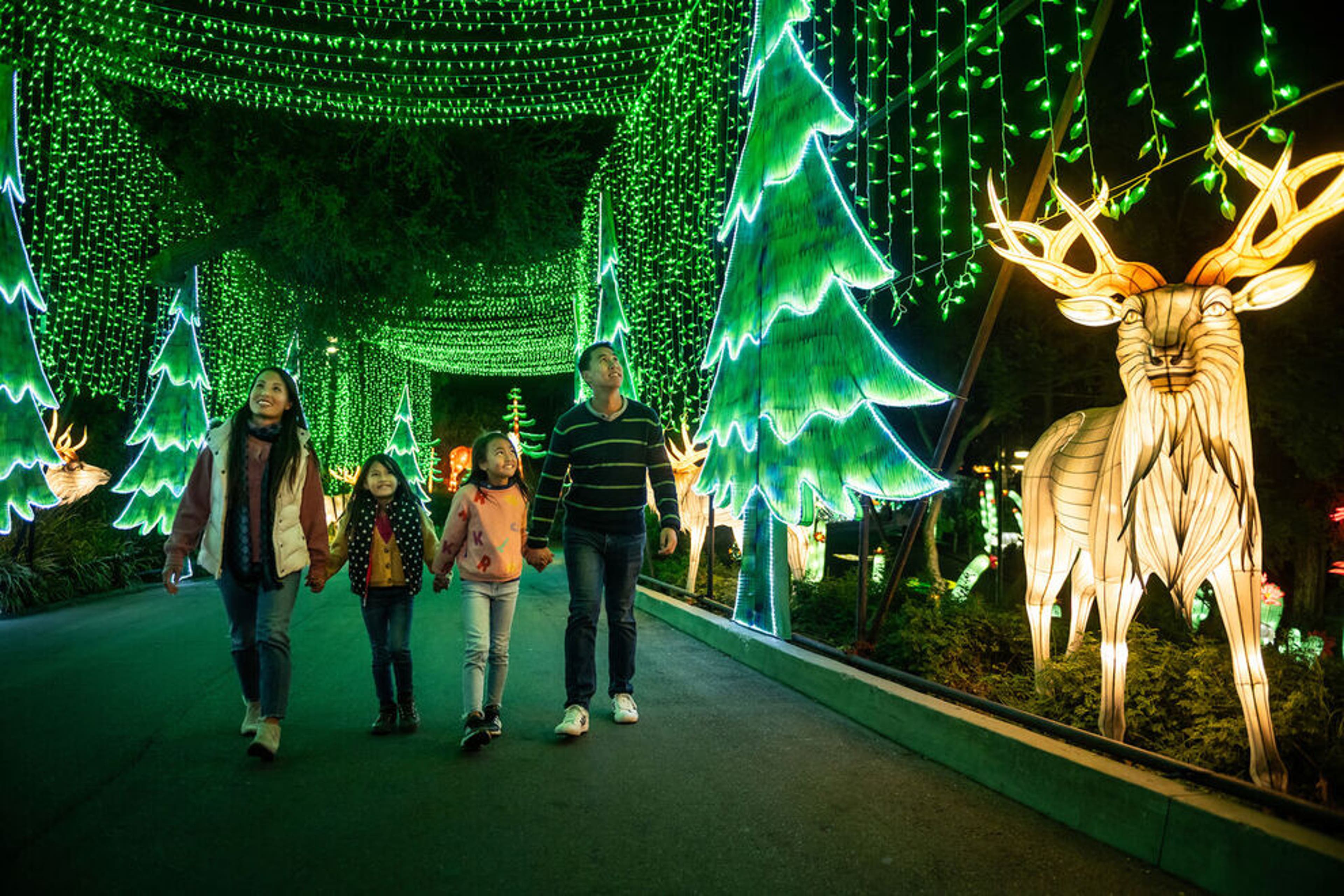 L.A. Zoo Lights: Animals Aglow at the Los Angeles Zoo