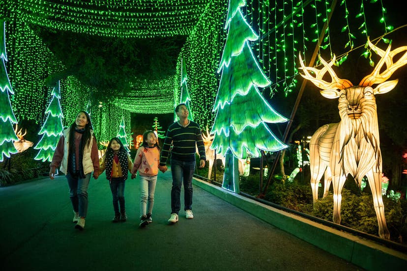 L.A. Zoo Lights: Animals Aglow at the Los Angeles Zoo
