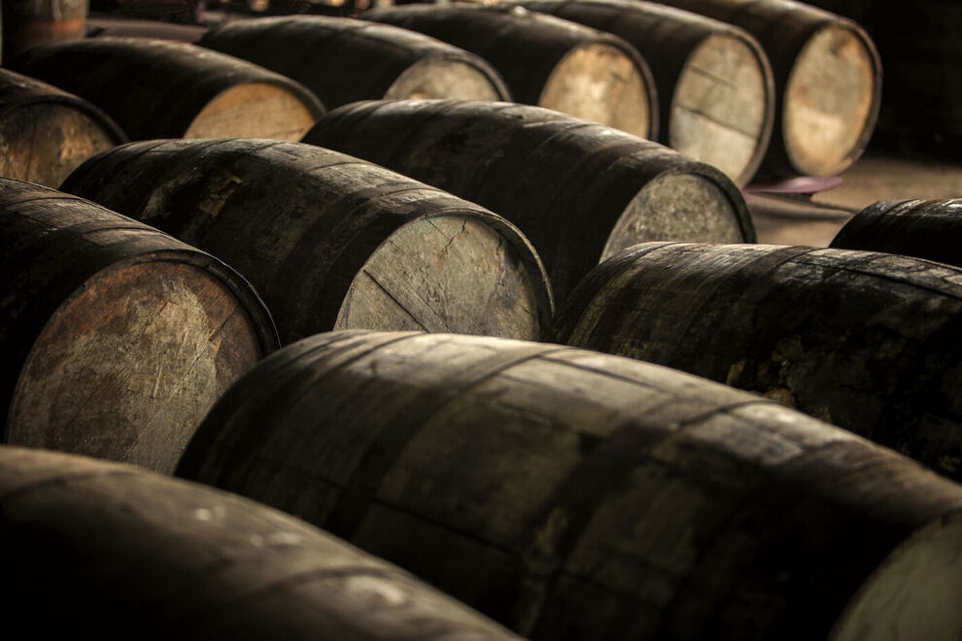 What is the Best Caribbean Rum for 2026?