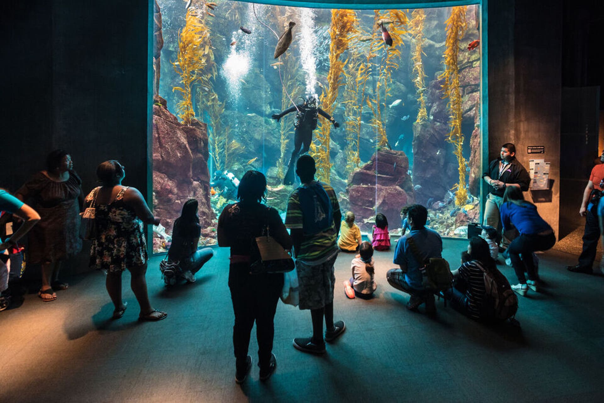 California Science Center: 2026 USA TODAY 10BEST Readers' Choice Awards
