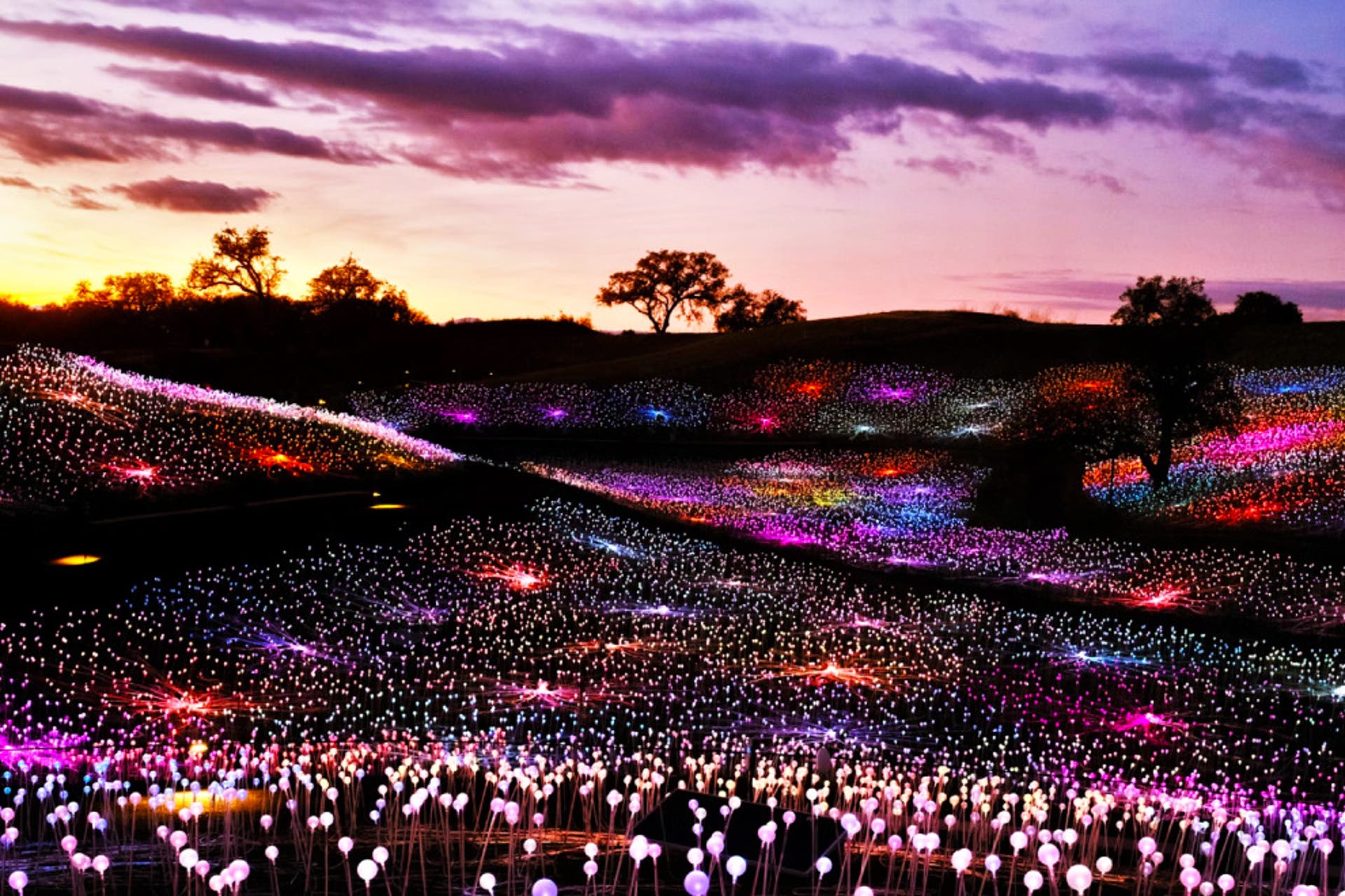 10 best immersive art experiences in the US for a sensory adventure