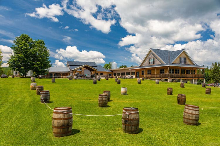 10 best beer gardens in the US where you can quench your thirst