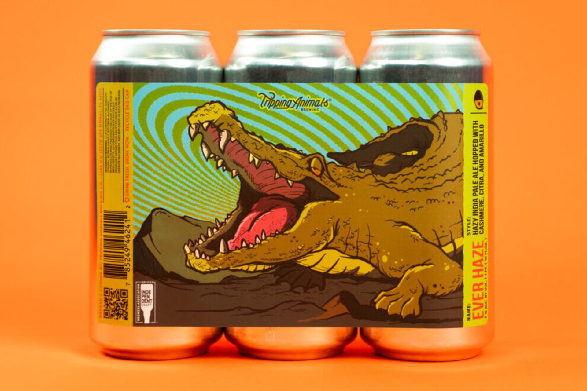 Ever Haze - Tripping Animals