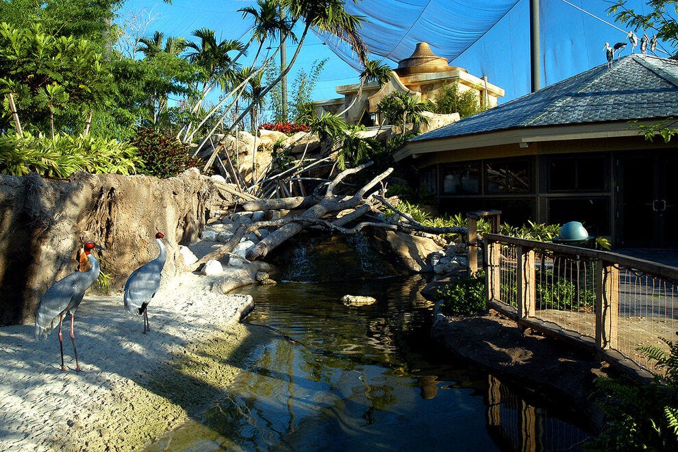 Wings of Asia Aviary at Zoo Miami