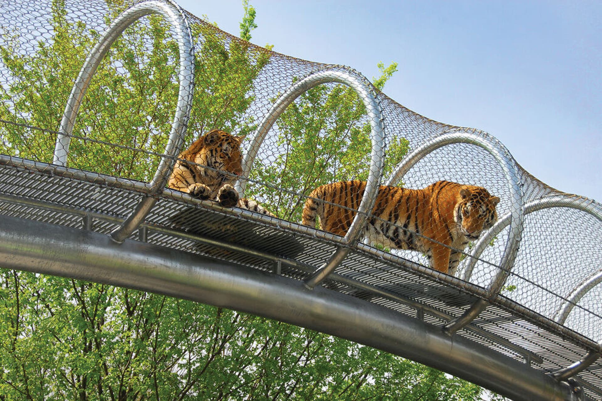 Zoo360 at Philadelphia Zoo: 2026 USA TODAY 10BEST Readers' Choice Awards