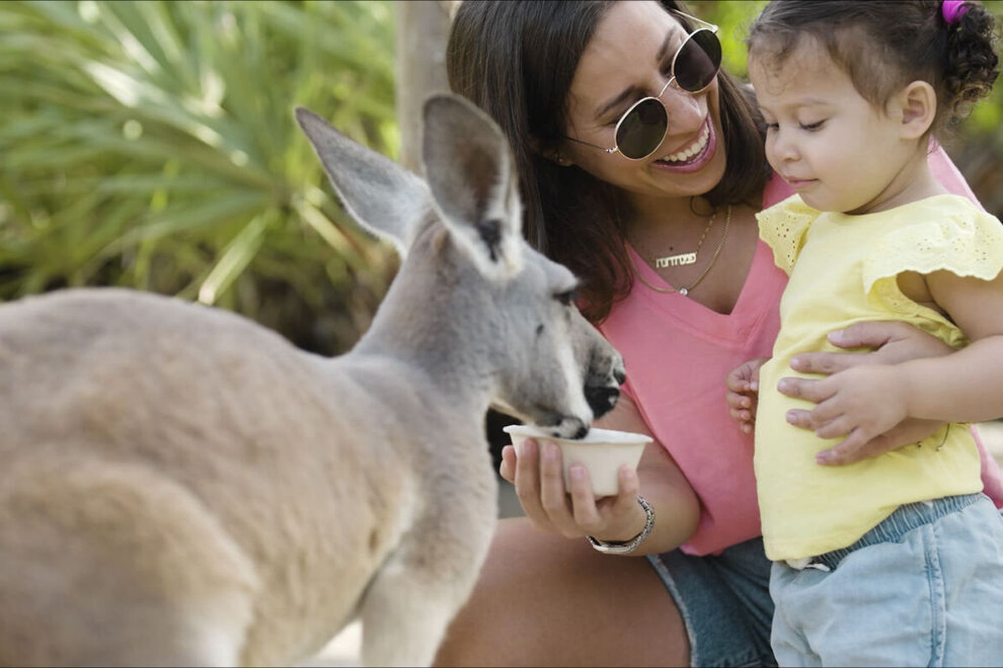 10 best zoo memberships at zoos across the US