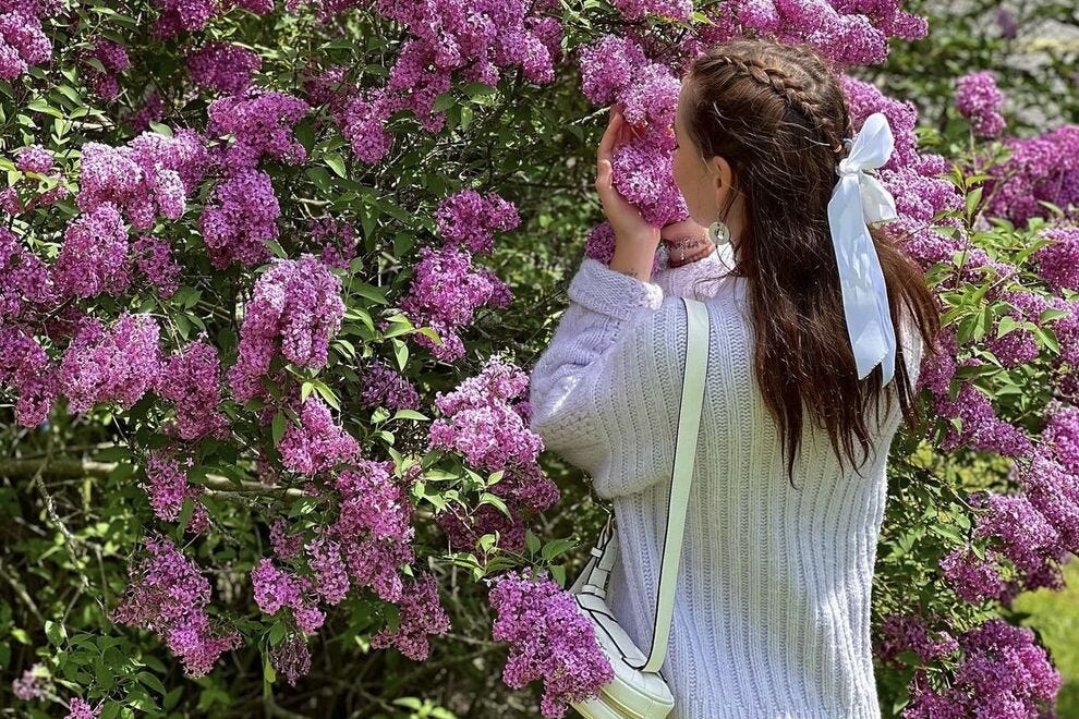 Rochester Lilac Festival