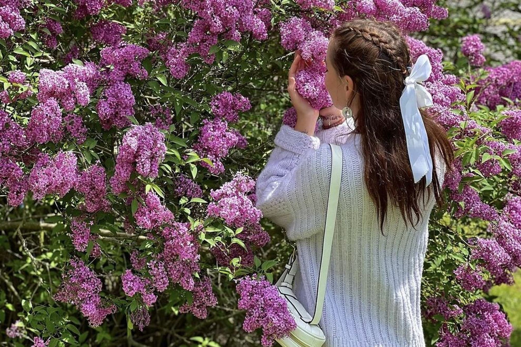 Rochester Lilac Festival