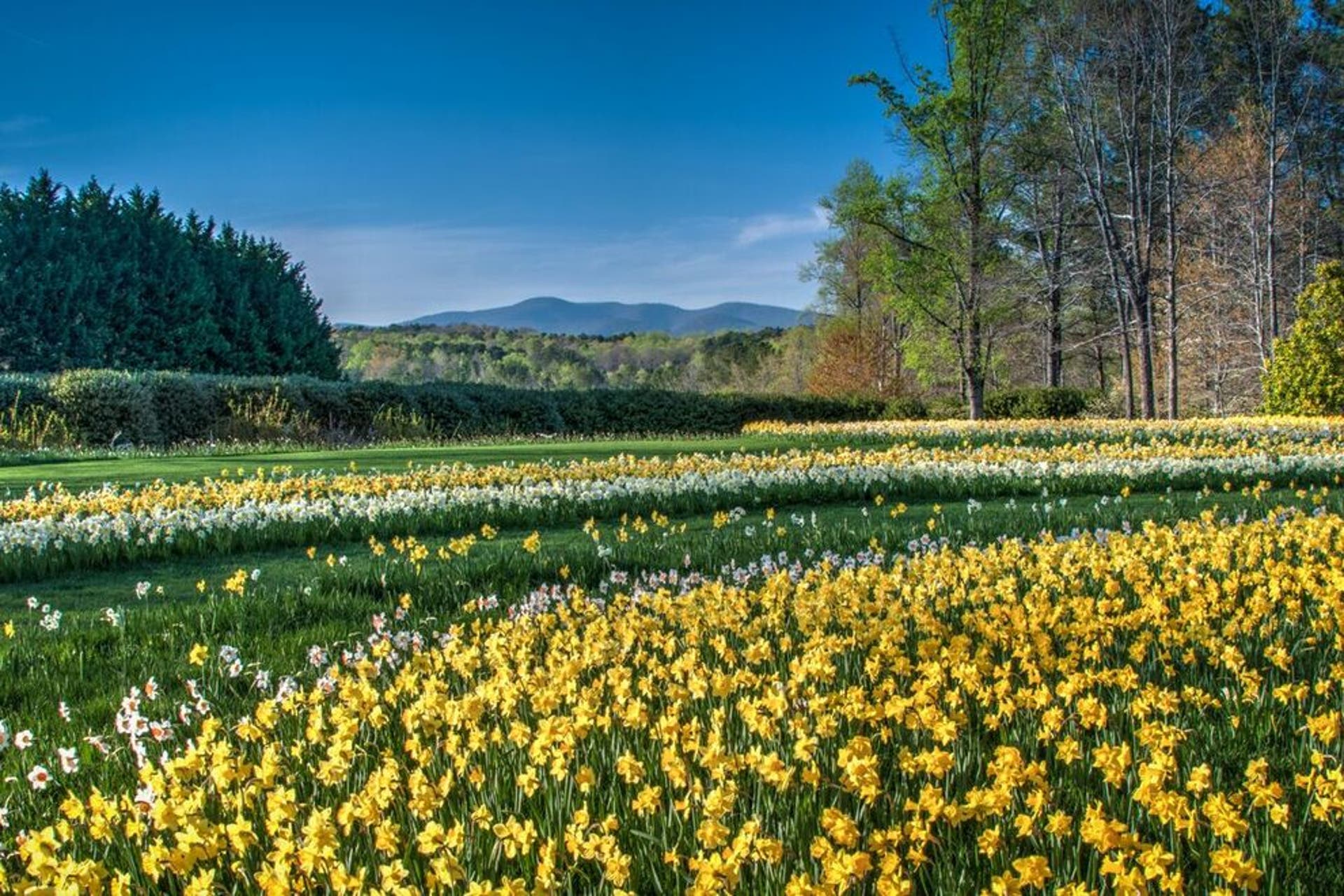 10 best music festivals across the US to attend in 2025