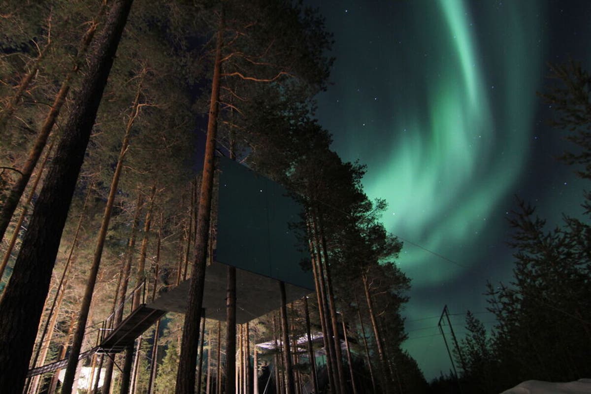 These 10 sublime treehouse resorts offer the ultimate nature escape
