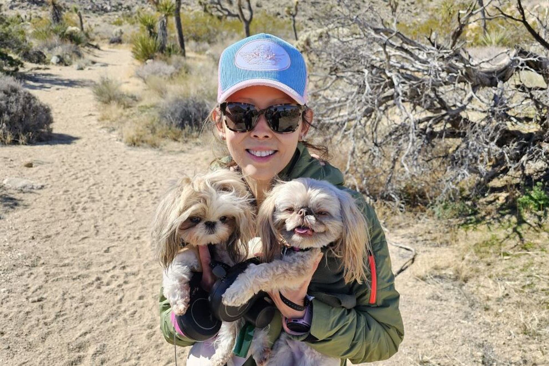 8 dog-friendly national parks to visit any season