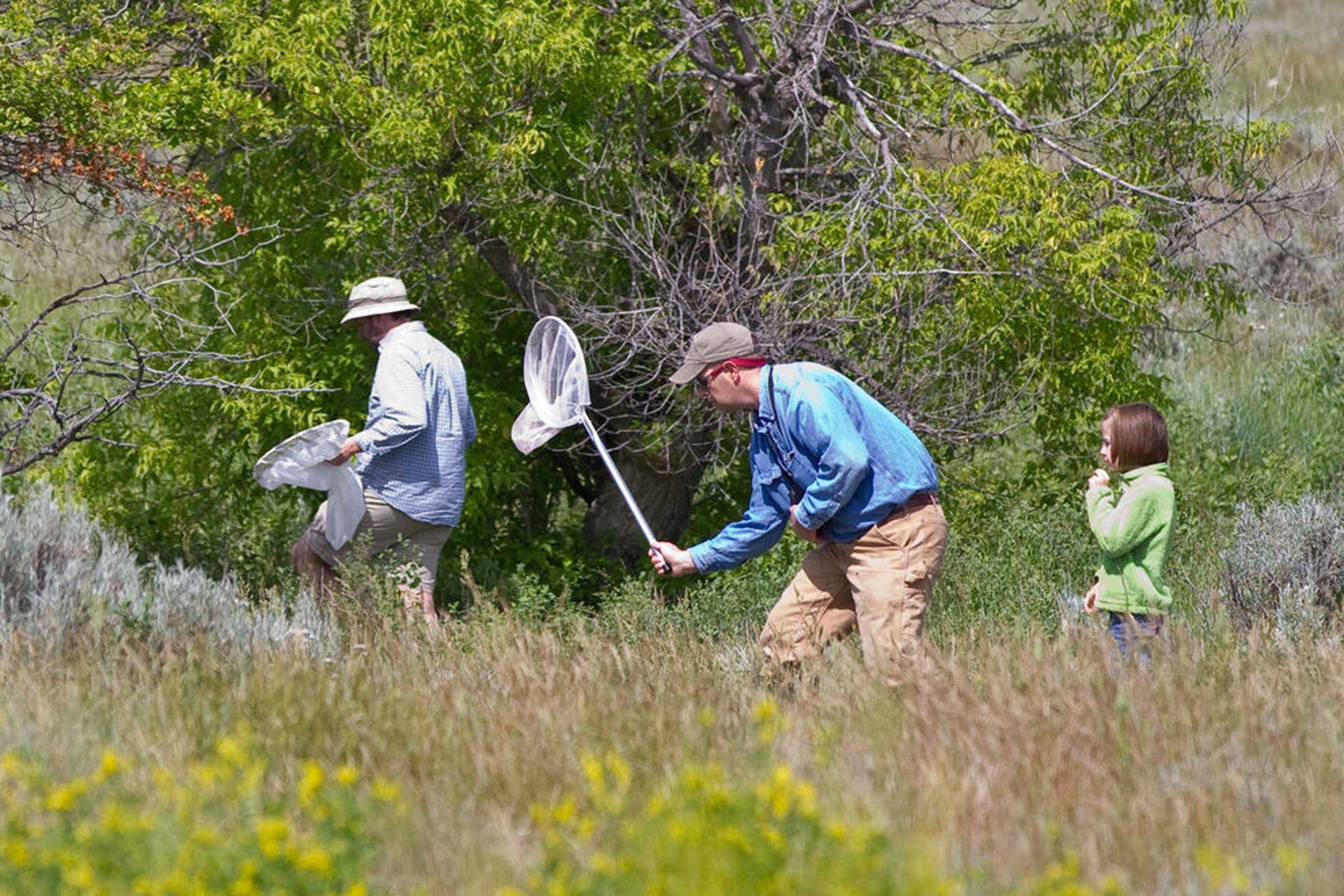 20 epic volunteer tourism ideas that highlight nature conservation