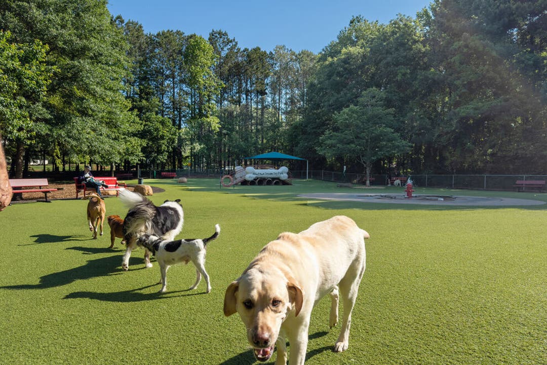 10 best dog parks in the United States