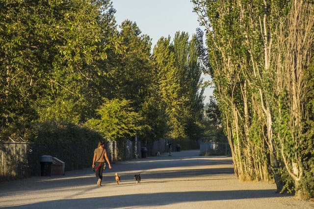 10 best dog parks in the United States