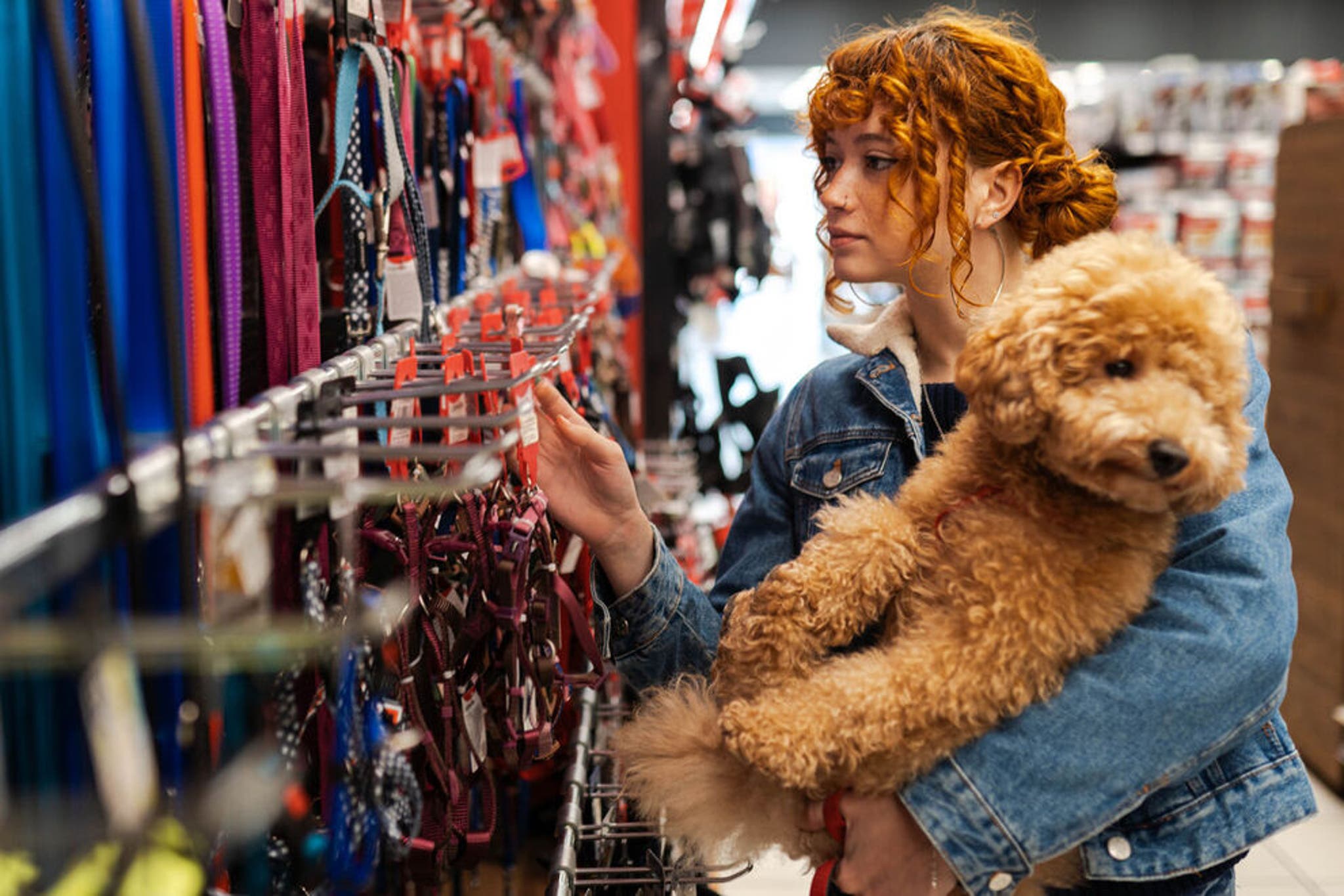 10 best pet stores in the United States