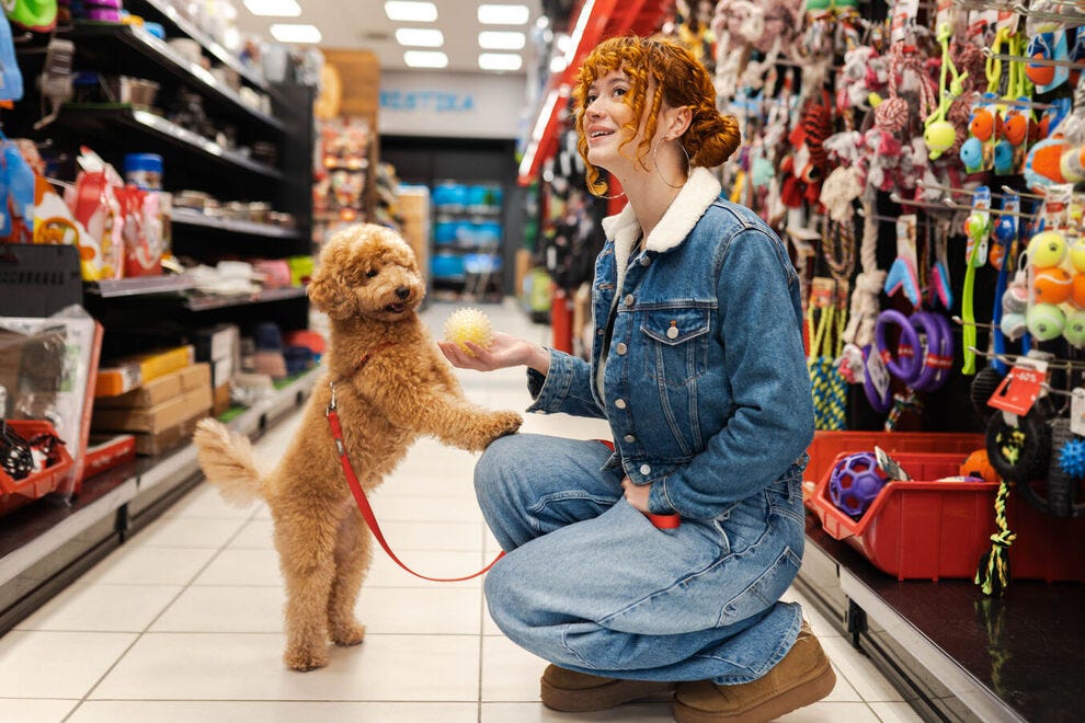 What is the Best Pet Store for 2026?