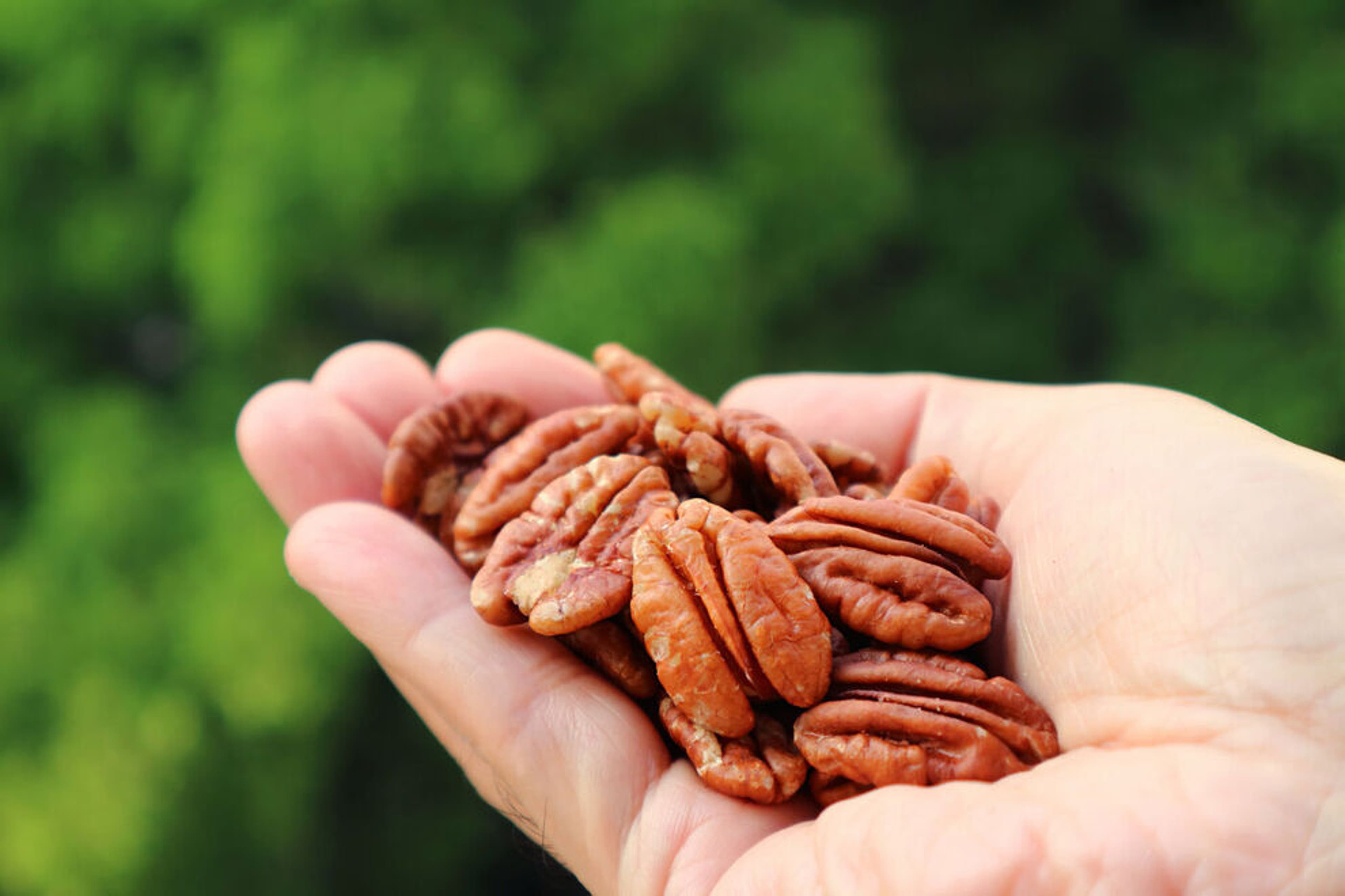 Eat these 10 types of nuts to supercharge your health