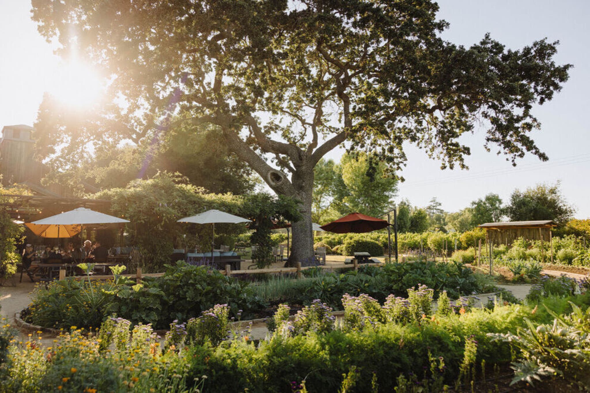 Roblar Winery and Vineyards: 2025 USA TODAY 10BEST Readers' Choice Awards