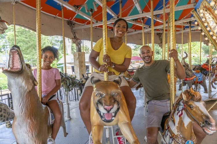 10 unique carousels you'll only find in the United States