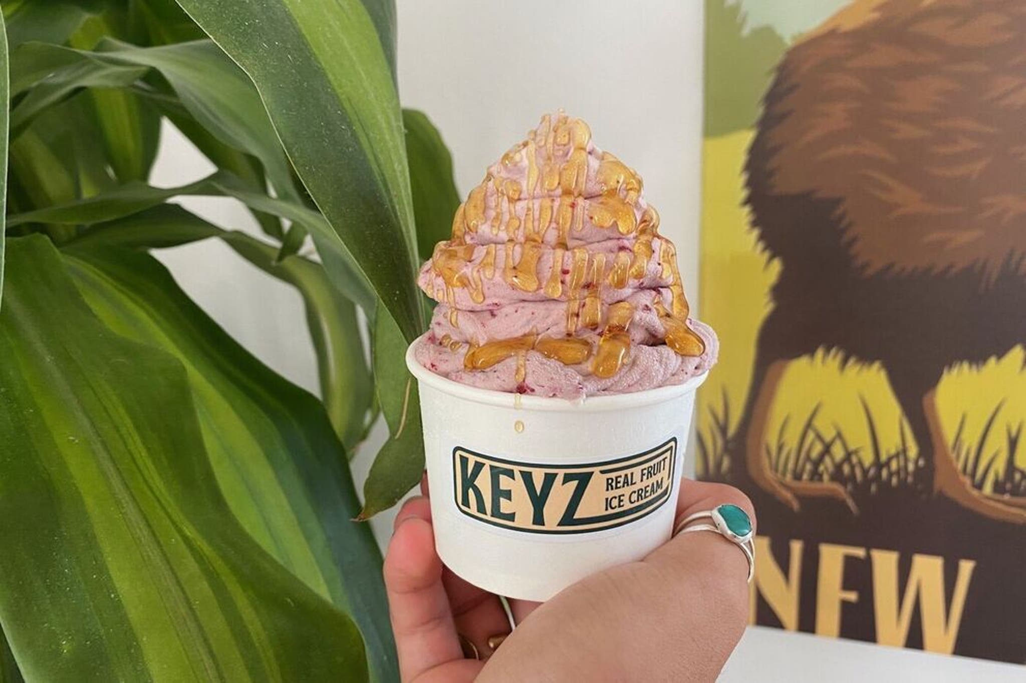 A gallery of popular ice cream types around the world
