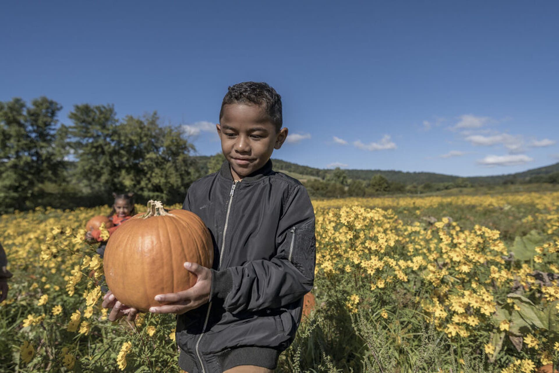 10 best pumpkin patches in the US for picking pumpkins