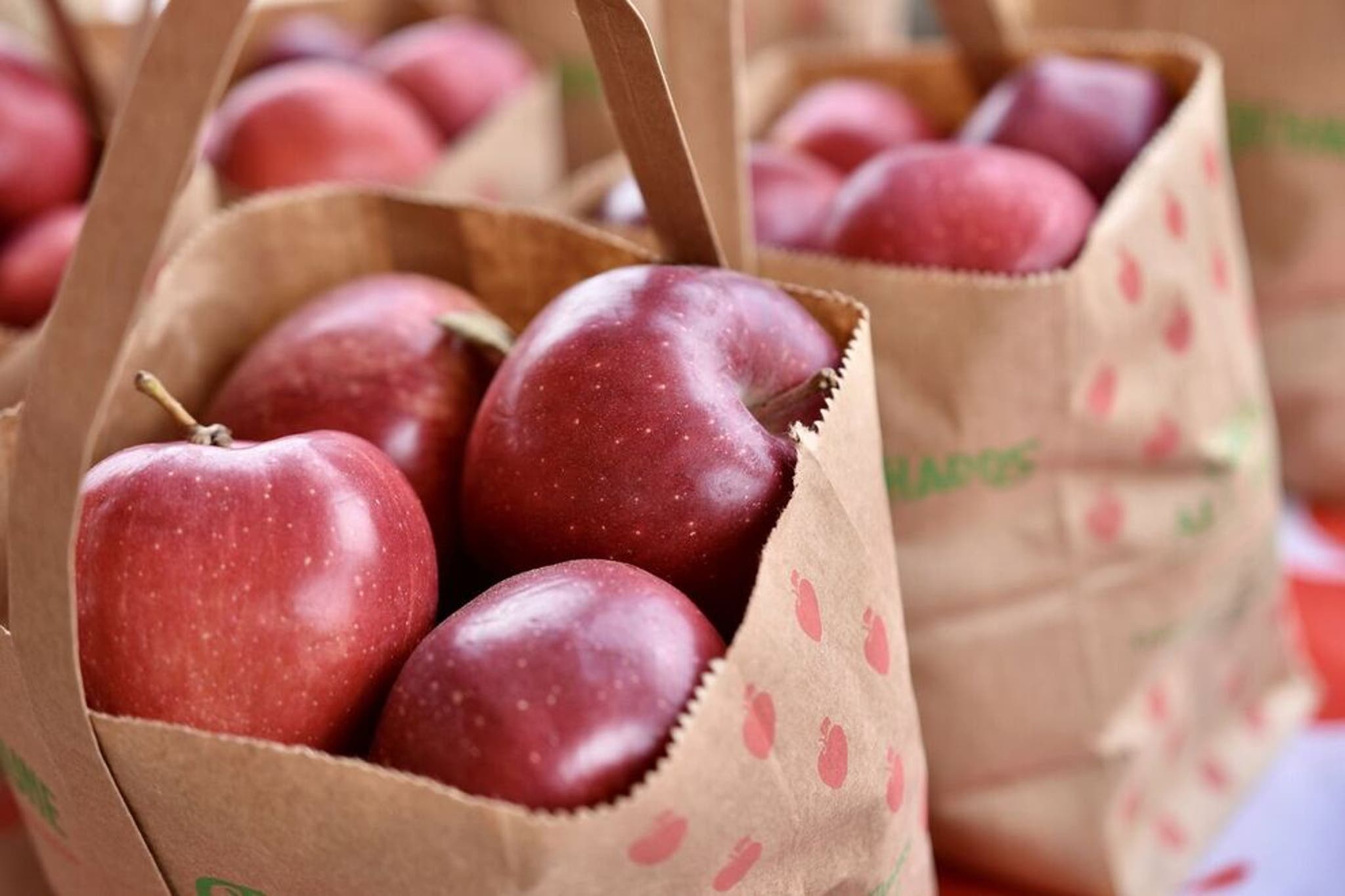 Terhune Orchards: 2025 USA TODAY 10BEST Readers' Choice Awards