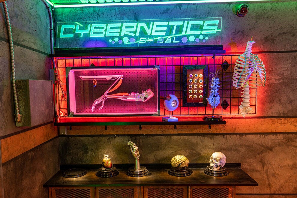 The Immersive Machine: 2025 USA TODAY 10BEST Readers' Choice Awards