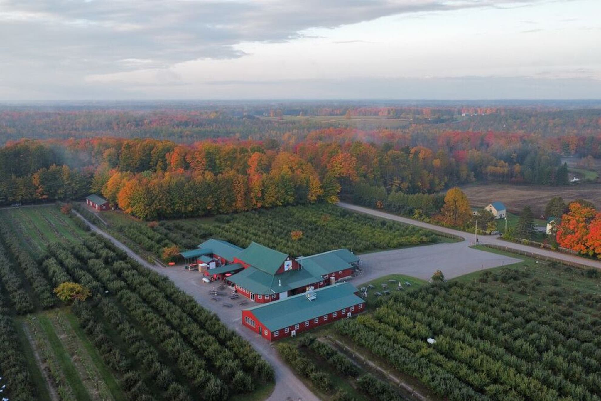 10 best apple orchards in the US for going apple picking