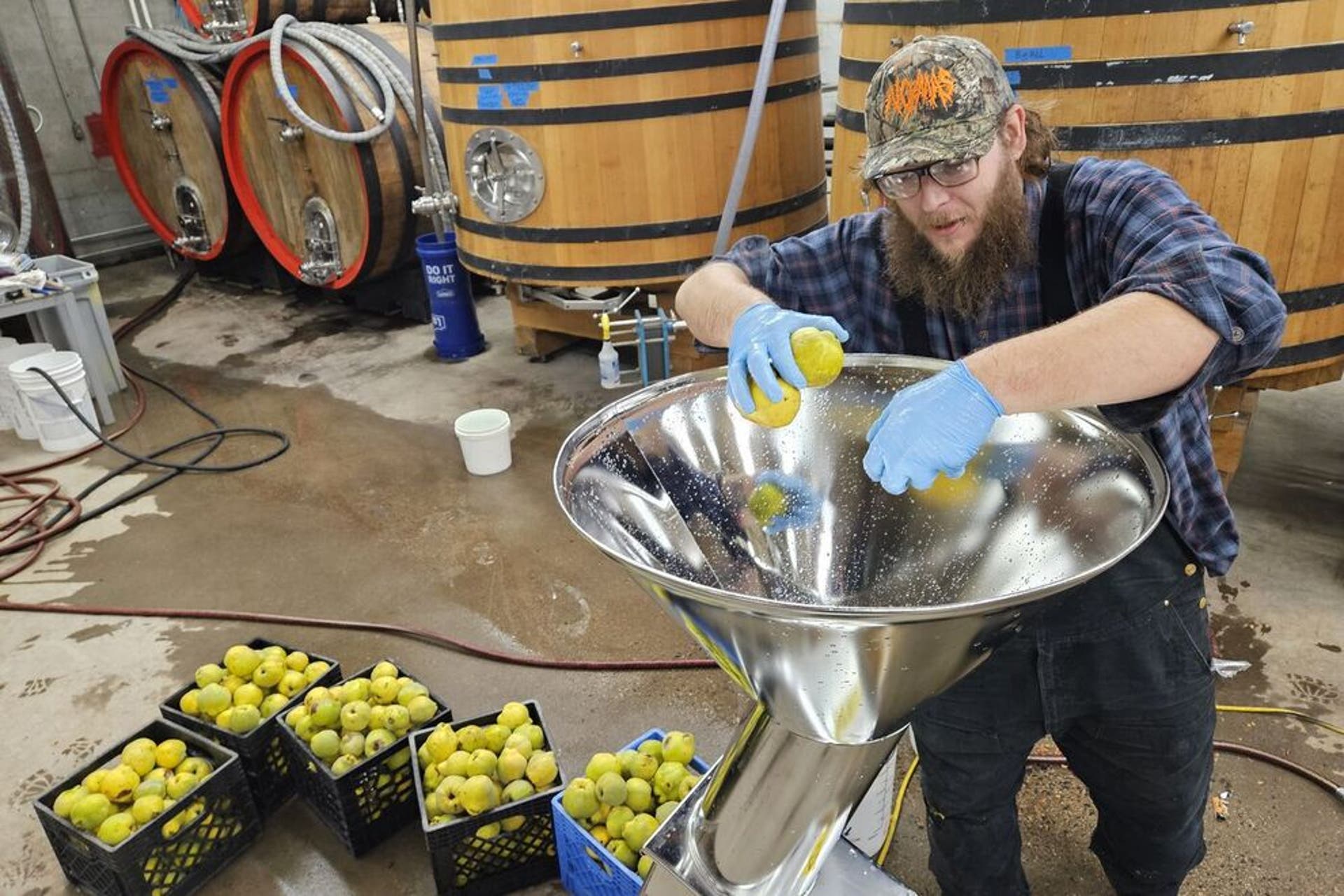 Cider season is here: 10 best ciders you need to try