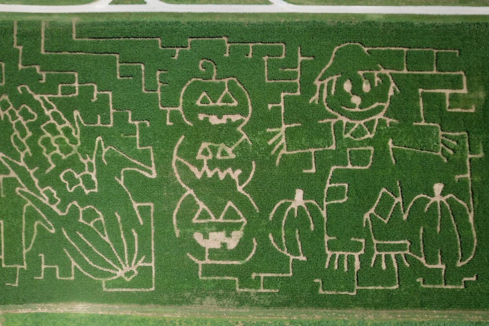 Devine's Corn Maze and Pumpkin Patch
