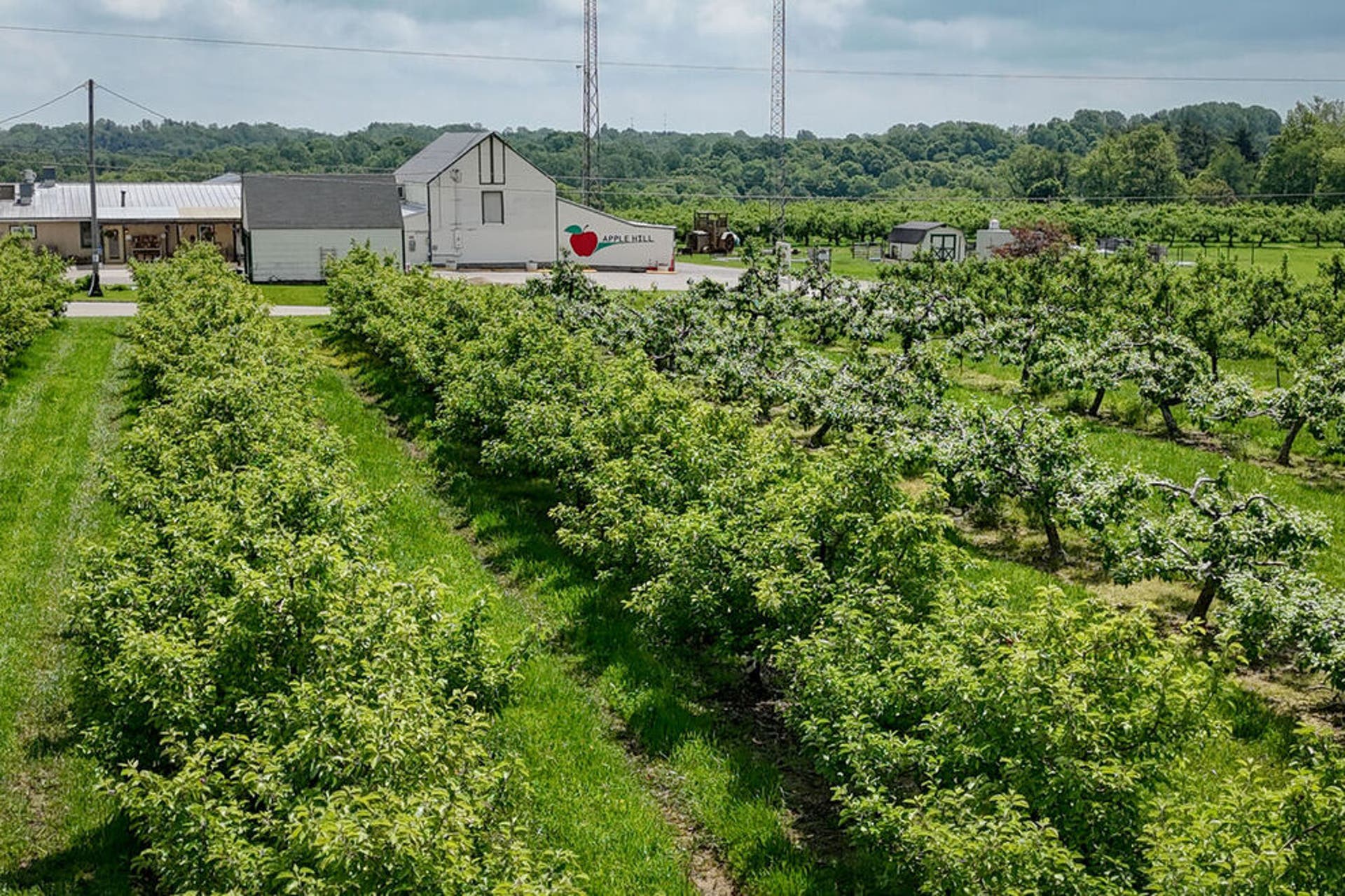 10 best apple orchards in the US for going apple picking
