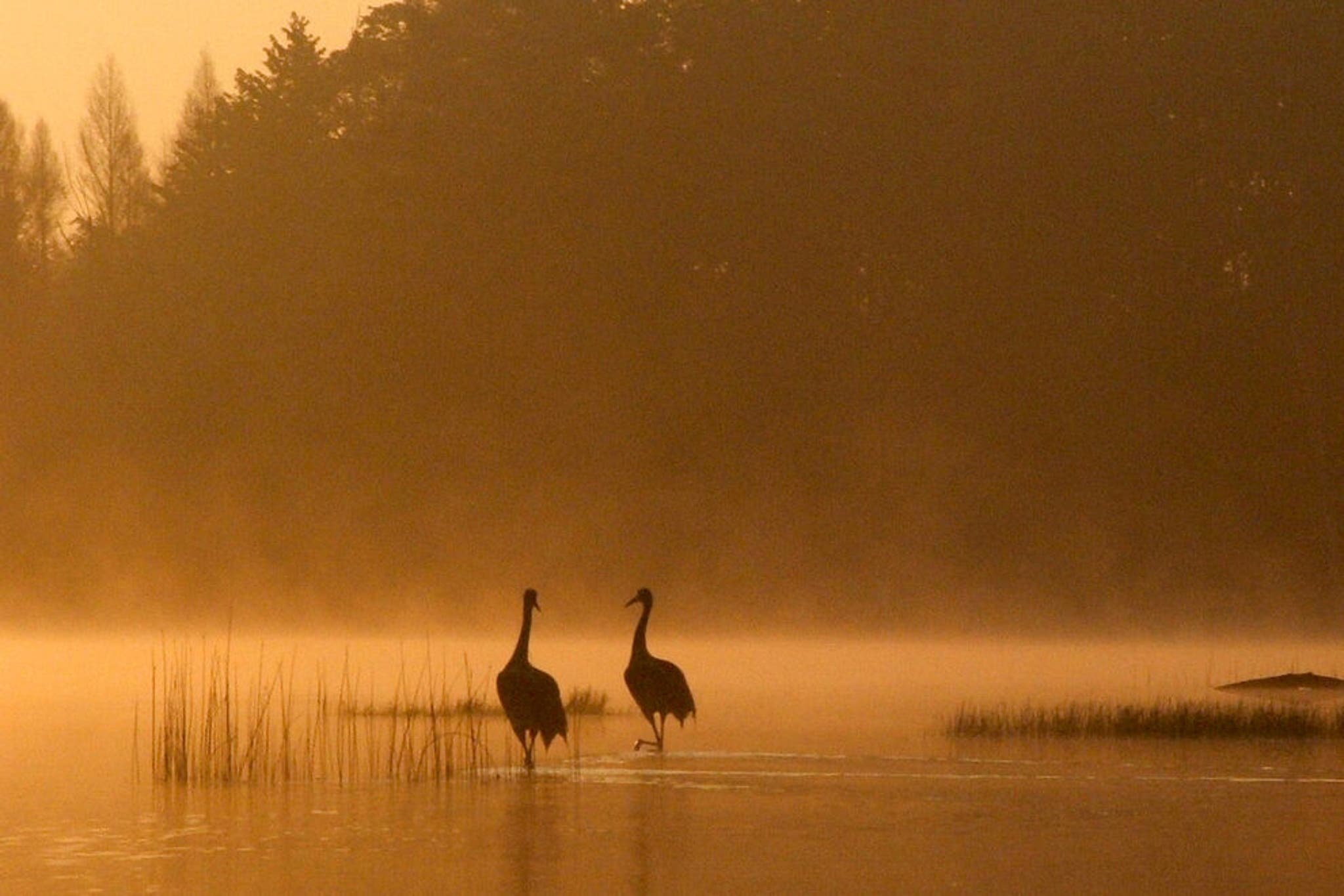 10 stunning fall bird-watching destinations in the US