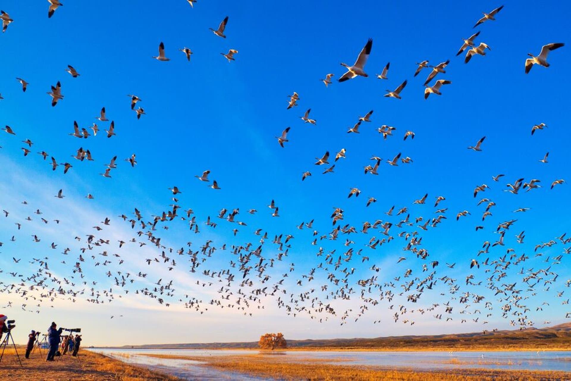 10 stunning fall bird-watching destinations in the US