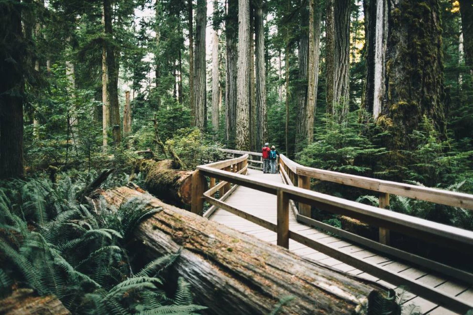 10 reasons why fall in British Columbia is magical