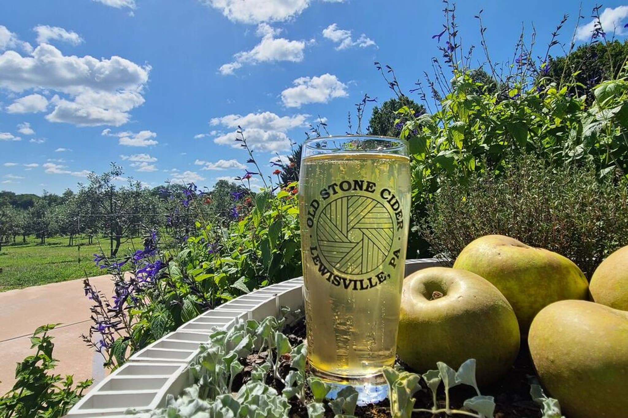 Cider season is here: 10 best ciders you need to try