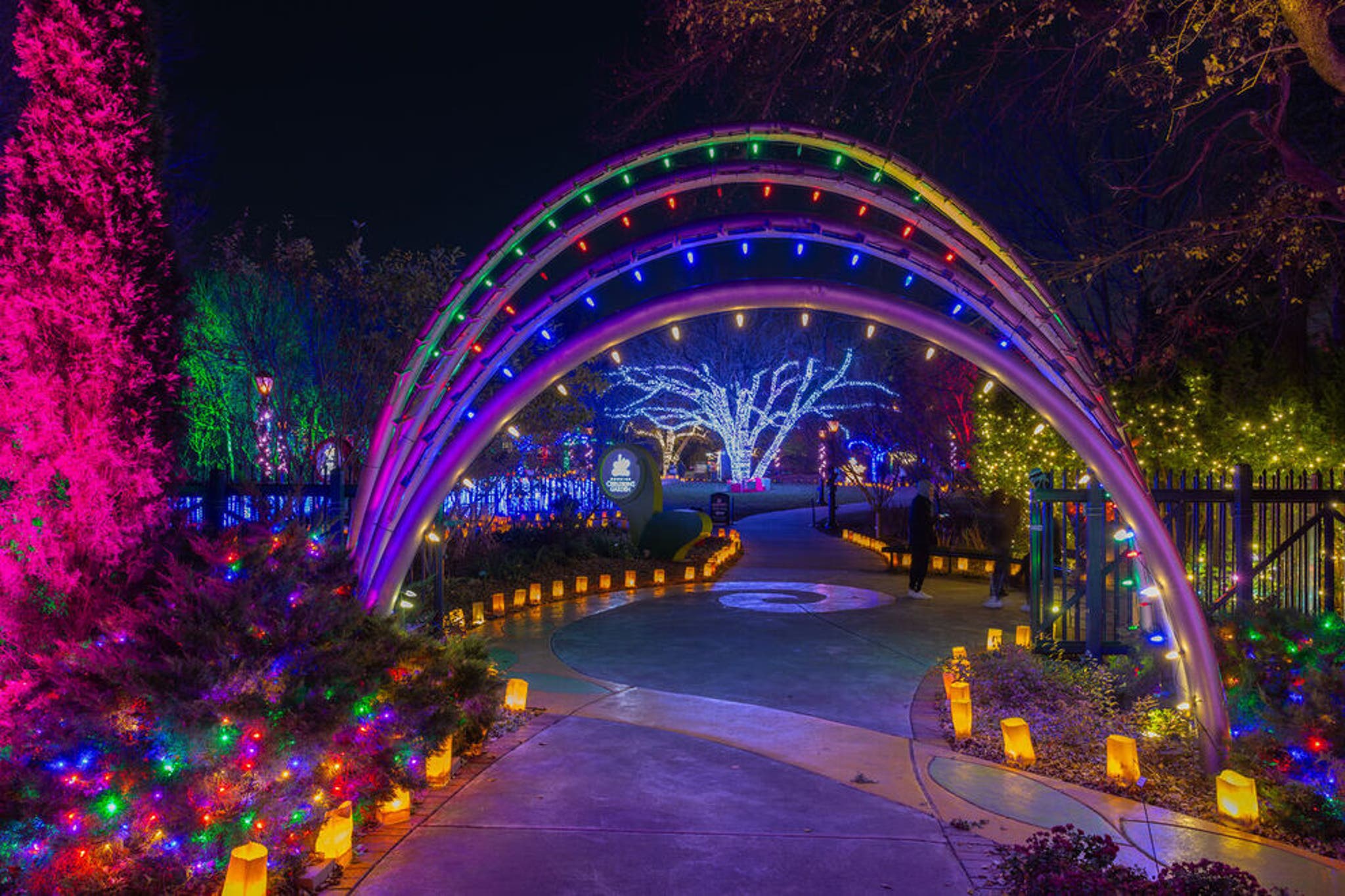 What is the Best Botanical Garden Holiday Lights for 2025?