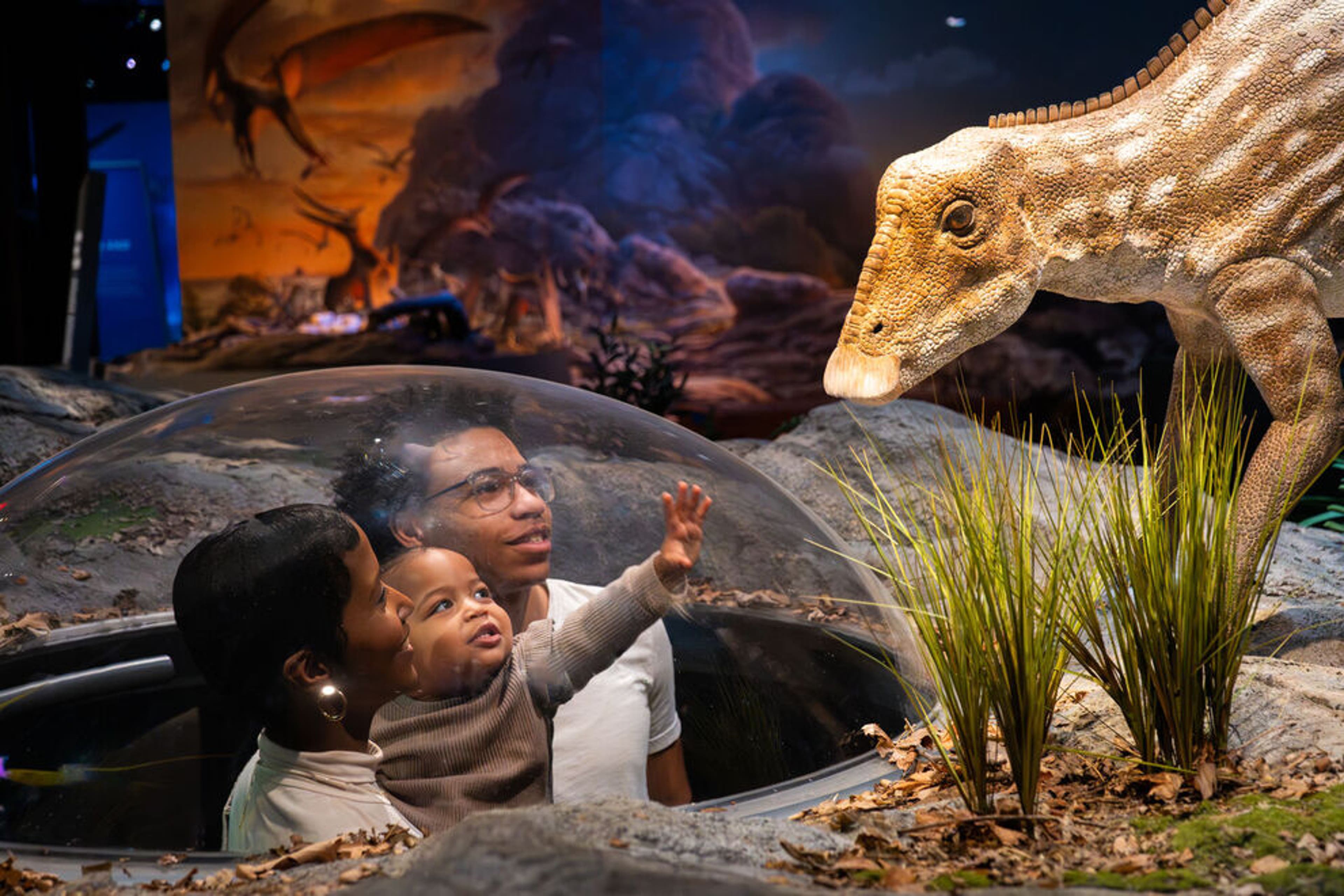 Edelman Fossil Park & Museum of Rowan University: 2026 USA TODAY 10BEST ...