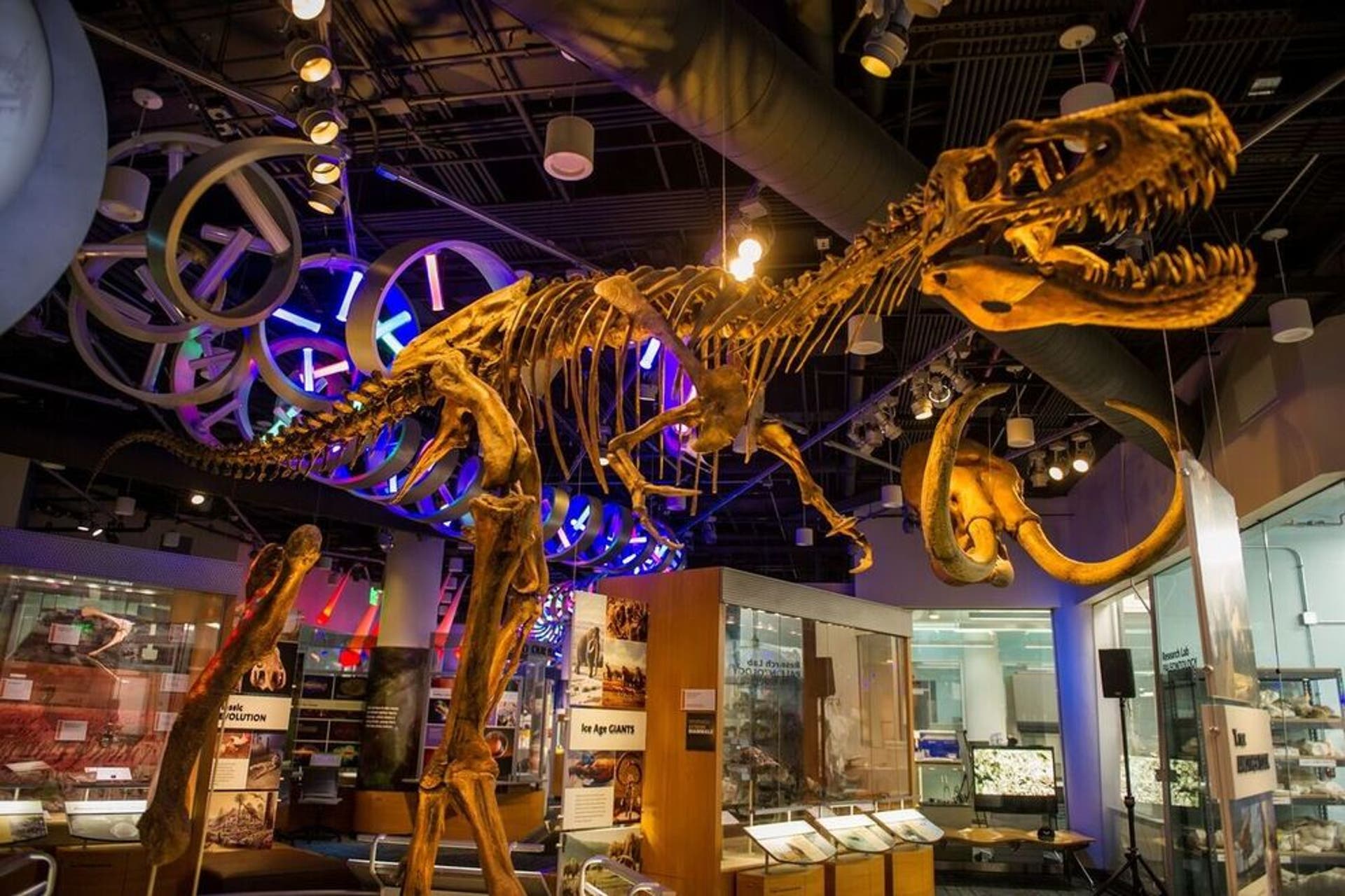North Carolina Museum of Natural Sciences: 2026 USA TODAY 10BEST ...