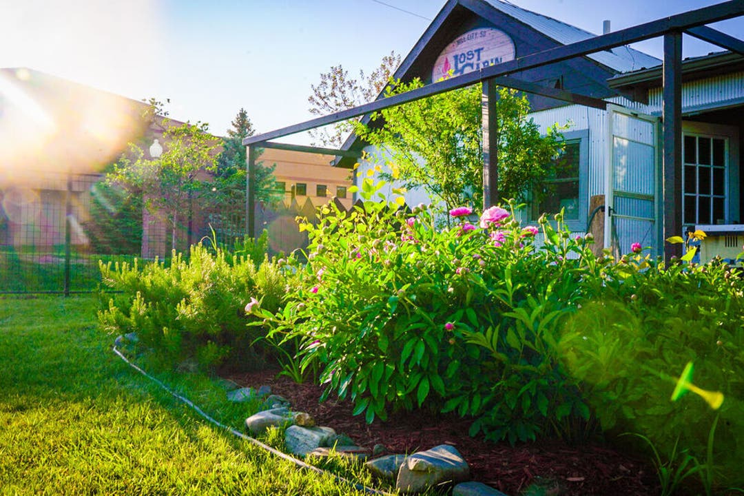 10 best beer gardens in the US where you can quench your thirst